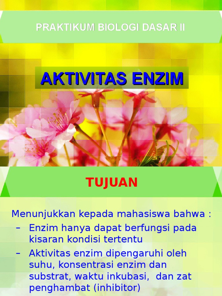 Aktivitas Enzim | PDF