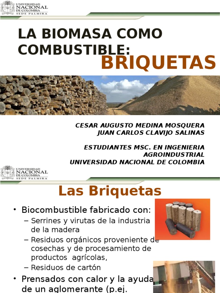 Biocombustibles Solidos | PDF | Biocombustible | Biomasa