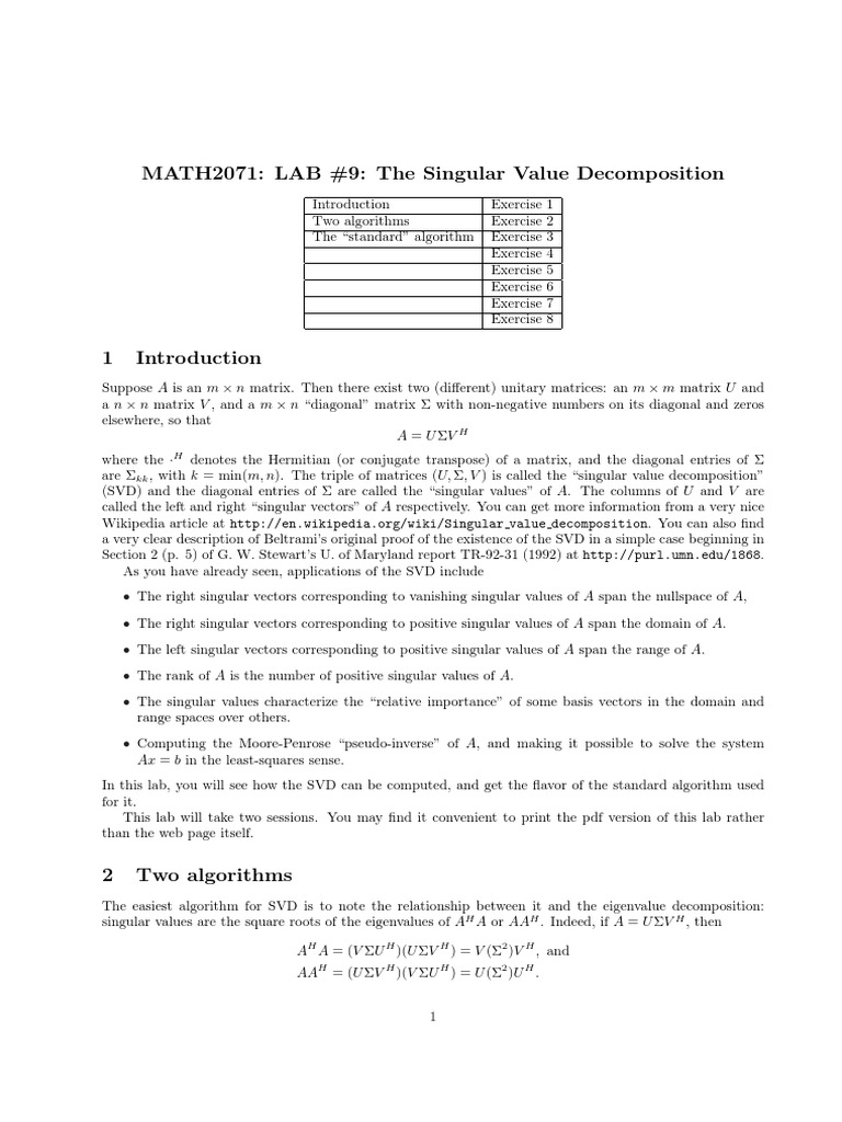 Svd Computation Pdf Matrix Mathematics Algebra