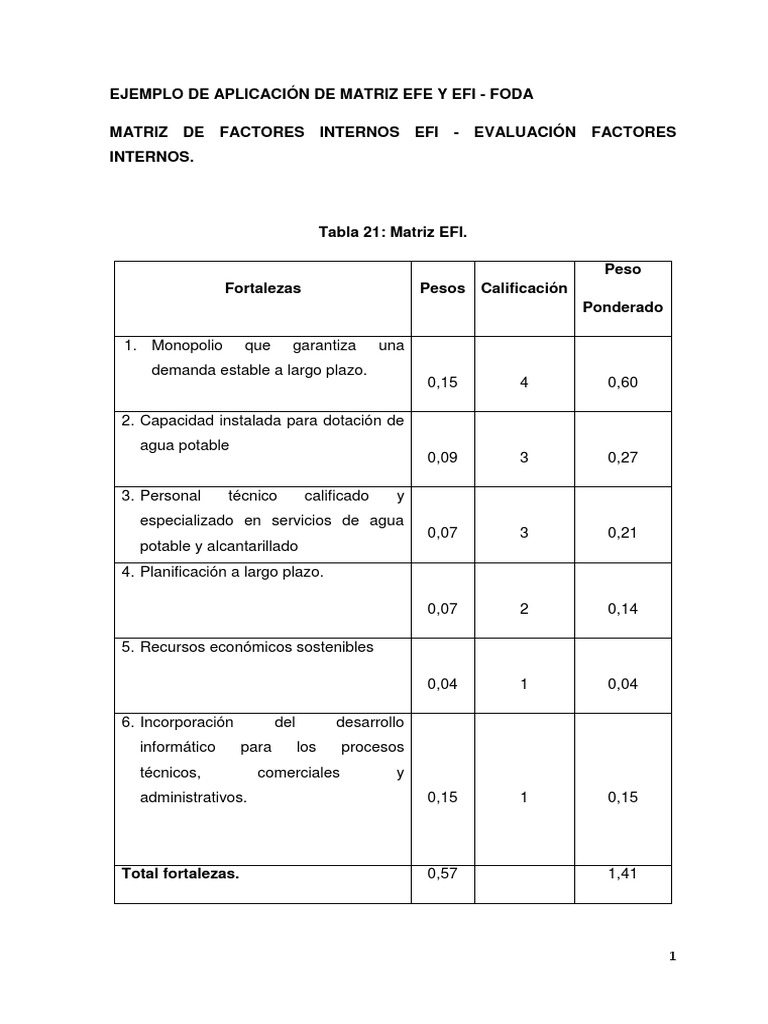 Ejemplo de Aplicación de Matriz Efe y Efi