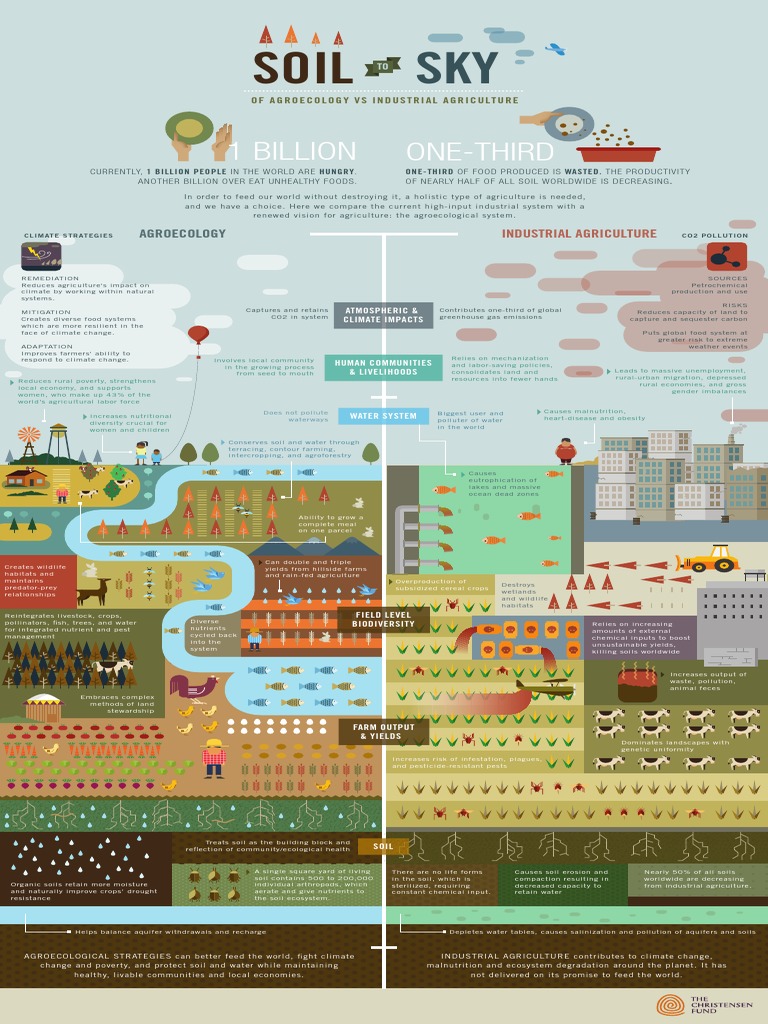 Agroecology vs Industrial Agriculture | Intensive Farming | Agriculture
