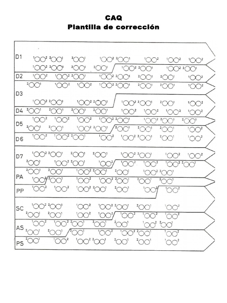 CAQ Plantilla Re Loaded | PDF