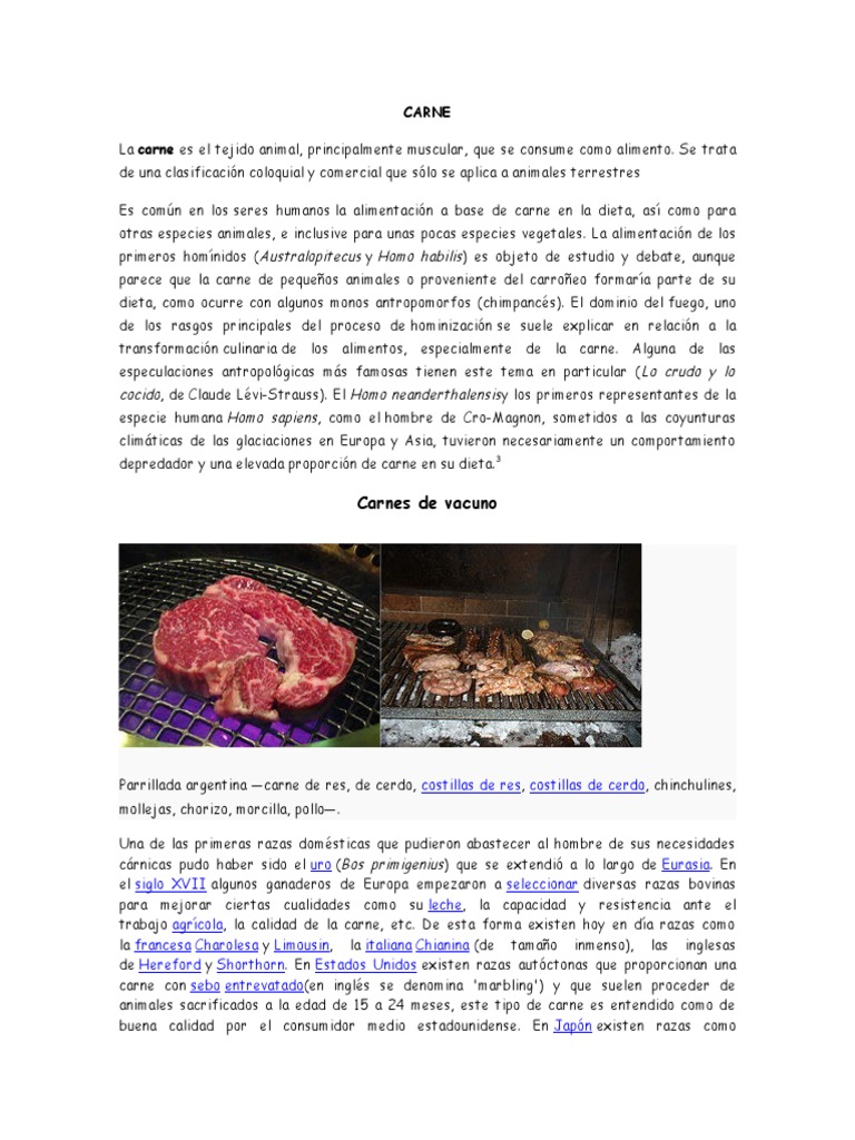 Tipos y usos de la carne animal | PDF | Carne | Animales y humanos
