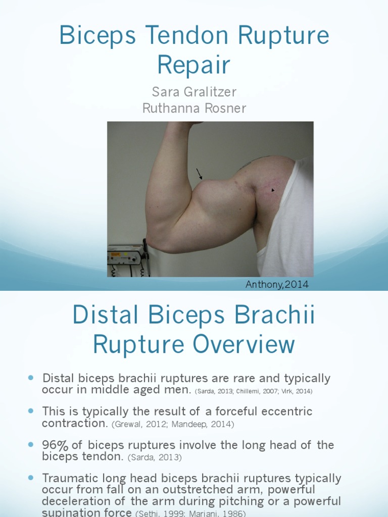Biceps Brachii Rupture Final | PDF | Anatomical Terms Of Motion | Elbow