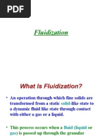 What Is Fluidization, Types of Fluidization | PDF | Fluidization | Nature