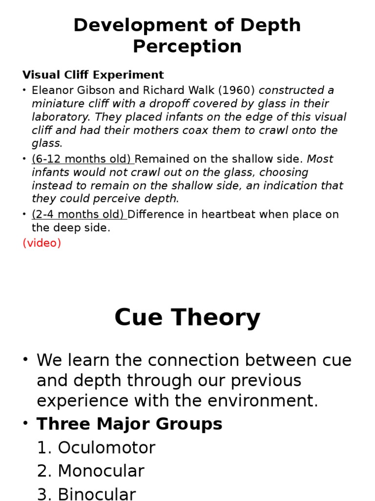Development of Depth Perception: A Summary of the Visual Cliff ...