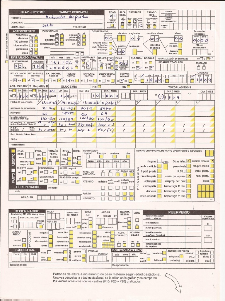Carnet Perinatal Con Hoja de Evolucion | PDF