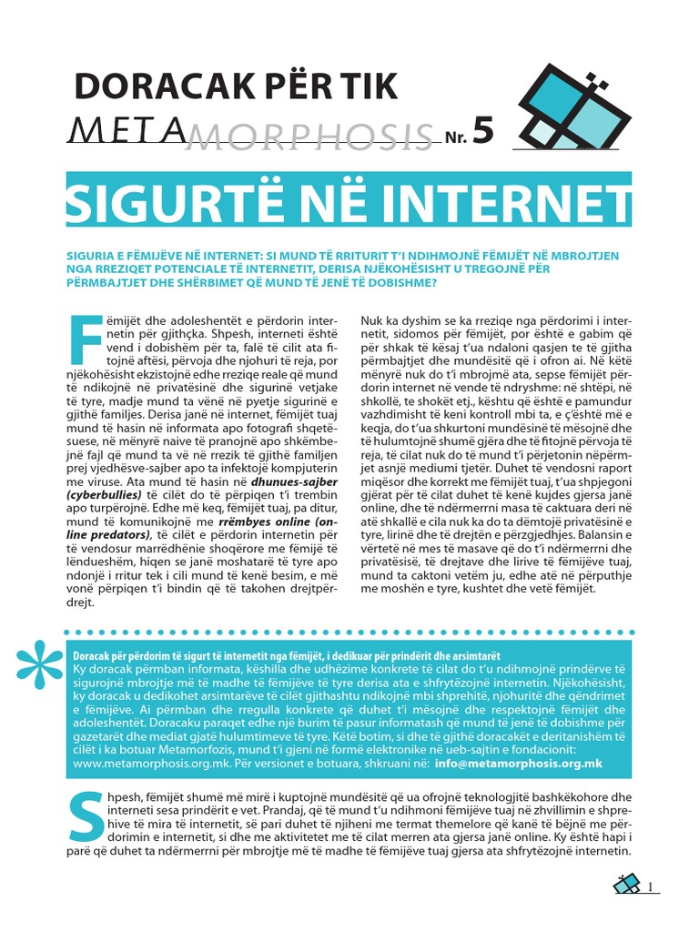 Siguria Ne Internet | PDF