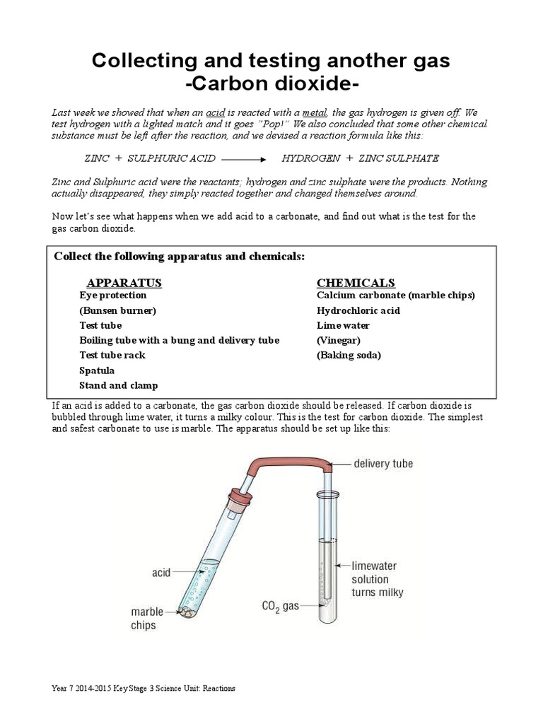 Collecting and Testing CO2 Gas March 2015 | PDF | Sodium Carbonate ...