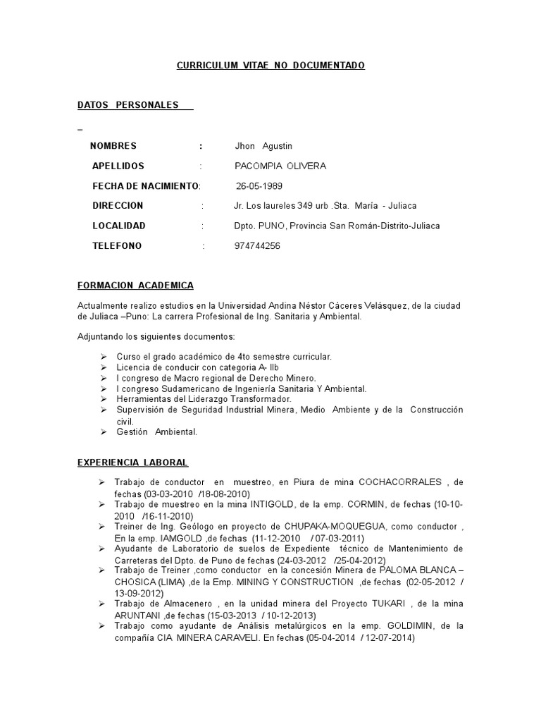 Curriculum Vitae No Documentado | PDF