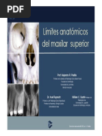 Efecto Ferula en Protesis Fija | PDF | Dentadura postiza | Boca