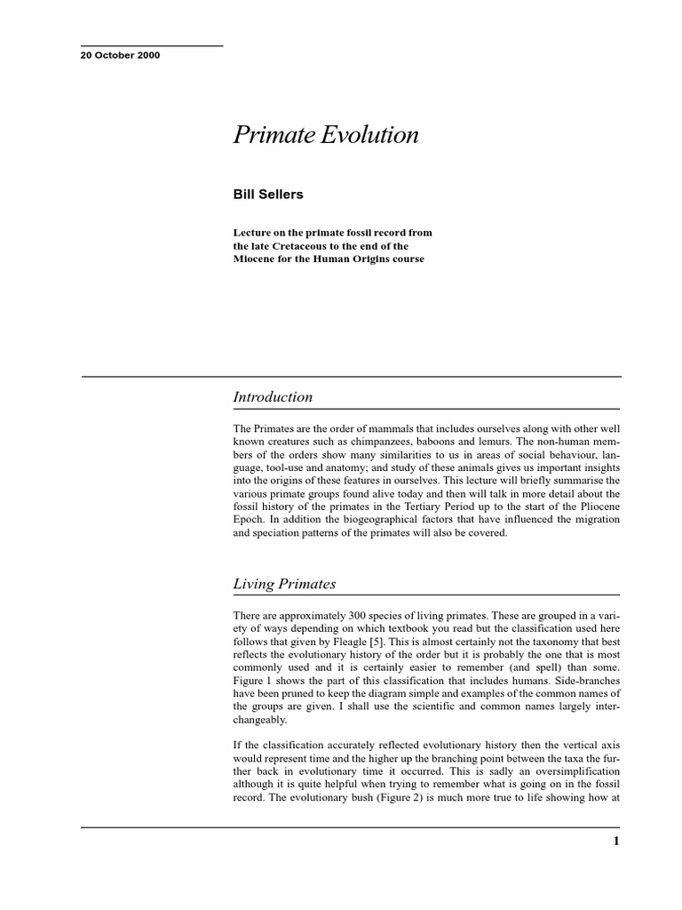 Primate Evolution - Sellers | PDF | Ape | Hominidae