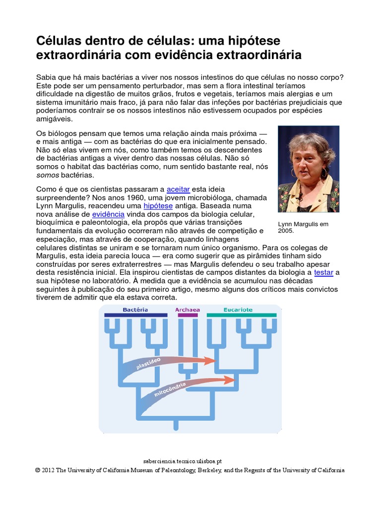 Teoria Da Endossimbiose - Lynn Margulis | PDF | Mitocôndria | Evolução