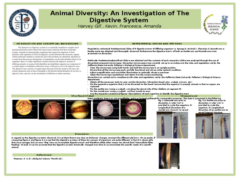 171 Poster Incomplete | PDF | Digestion | Organisms