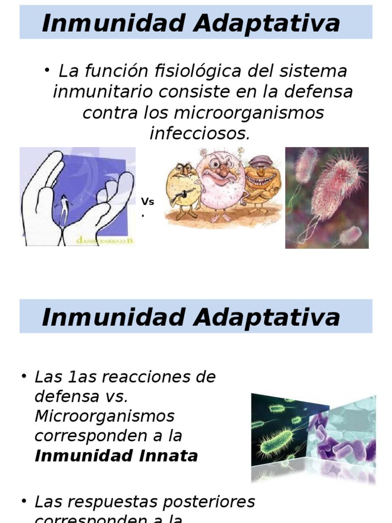 Inmunidad Adaptativa | Immune System | T Cell