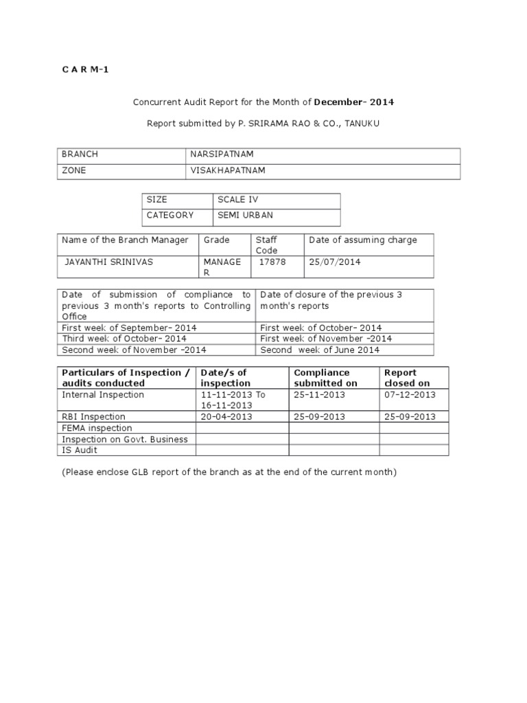 Carm 01 | Download Free PDF | Audit | Business