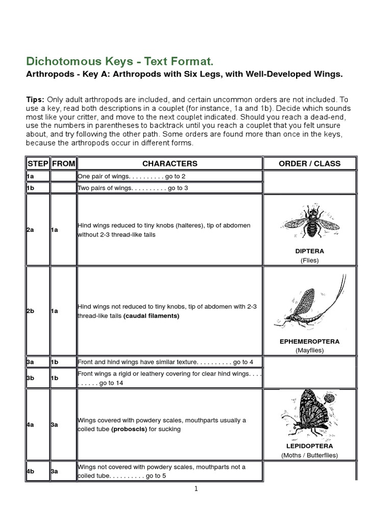 Dichotomous Keys for Identifying Arthropods | PDF | Living Fossils ...