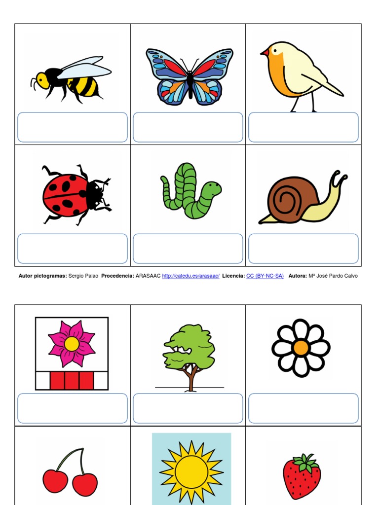 Vocabulario Primavera | PDF