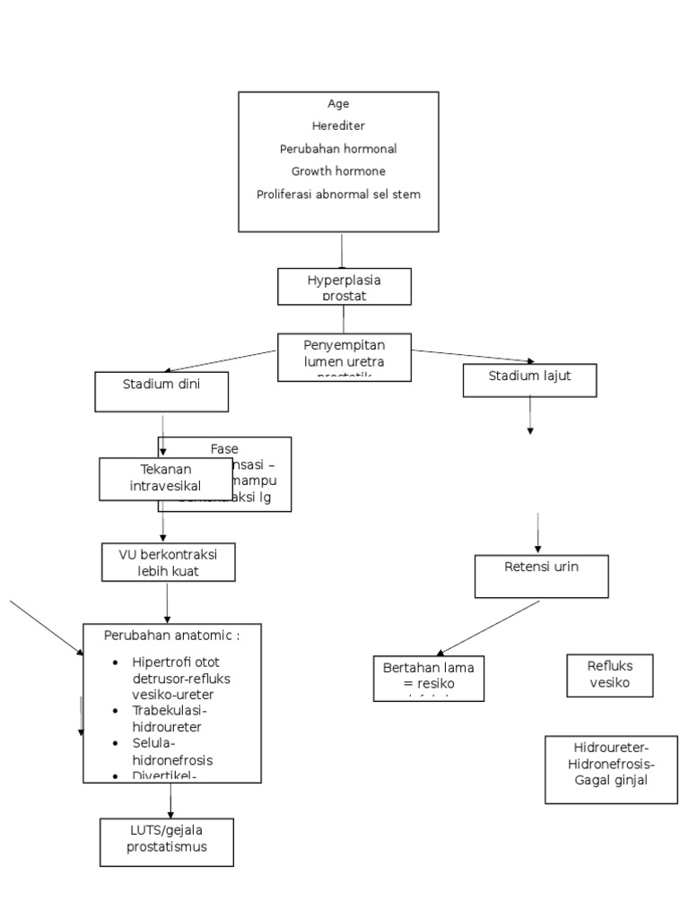 Patofisiologi BPH | PDF