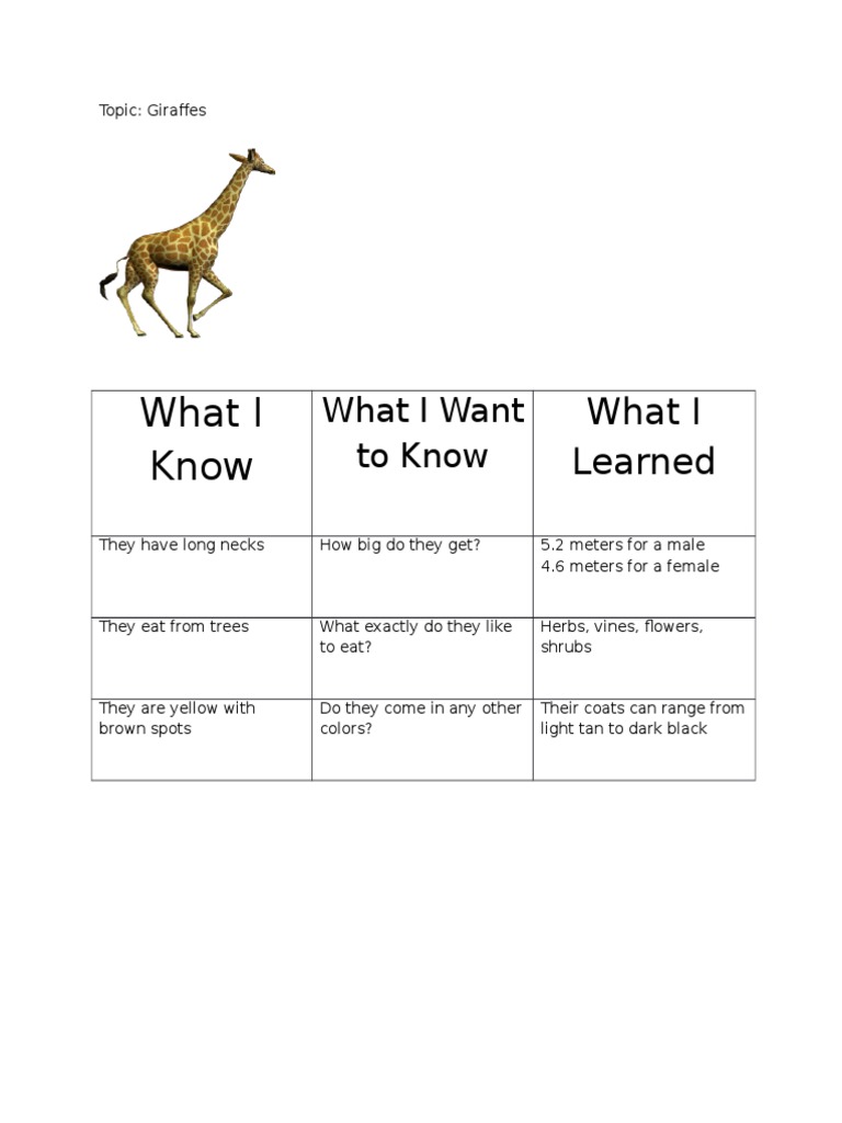 Giraffe Facts and Diagram | PDF | Science & Mathematics