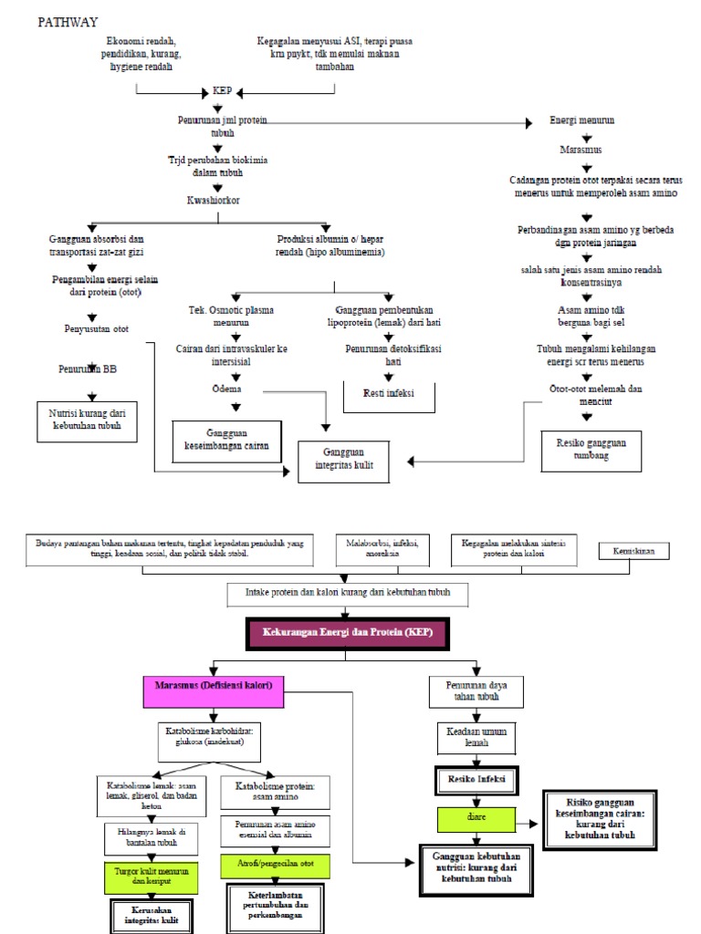 Pathway Malnutrisi | PDF