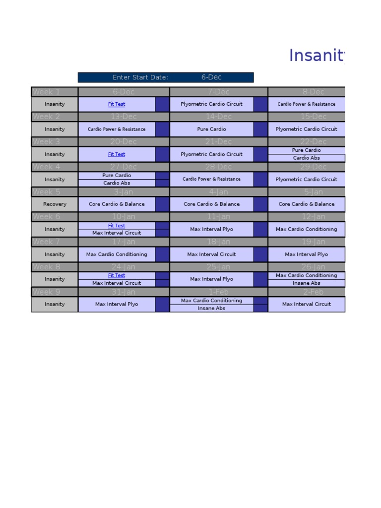 Insanity Workout Excel Worksheet | PDF | Sports & Recreation | Wellness