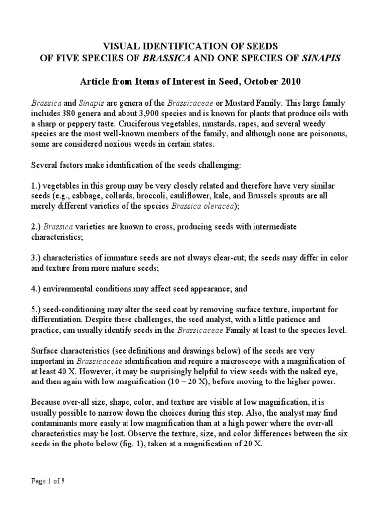 Visual Identification of Seeds of Brassica and Sinapis Arvensis | PDF ...