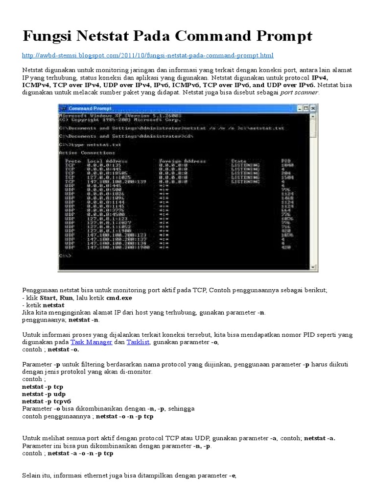 Fungsi Netstat Pada Command Prompt | PDF