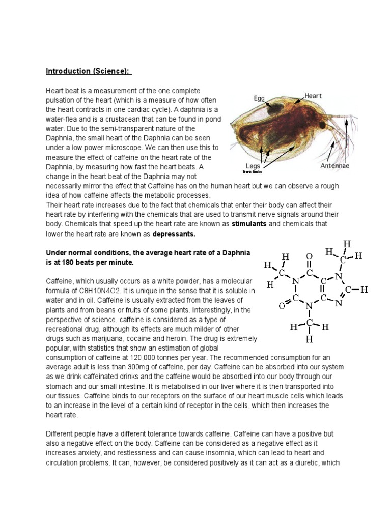 Daphnia Practical Write Up | PDF | Heart Rate | Caffeine