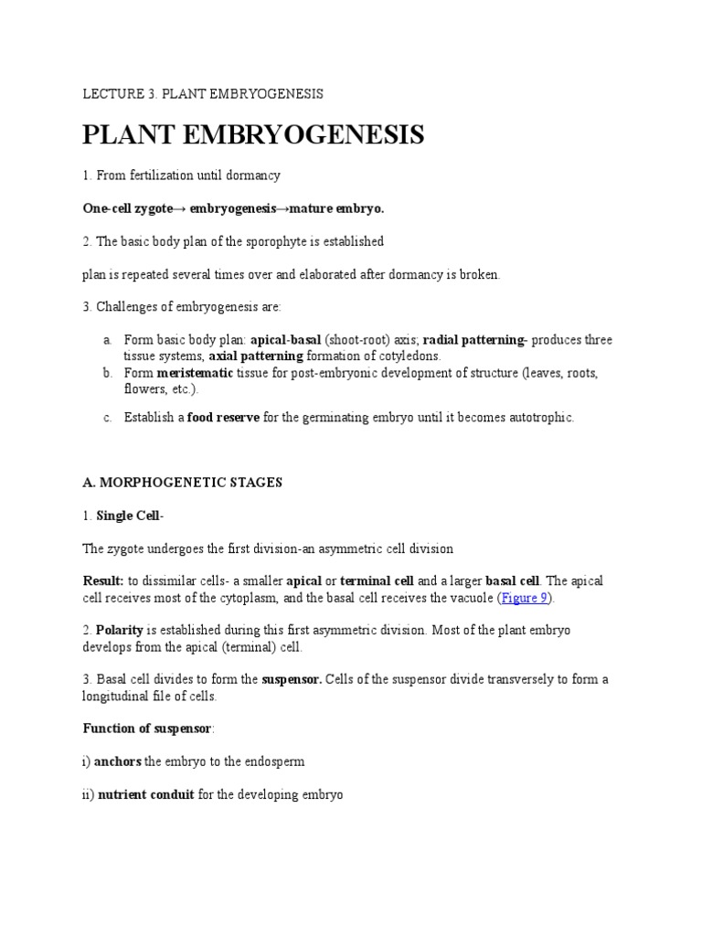 Establishing the Foundation: An Overview of the Key Morphogenetic ...