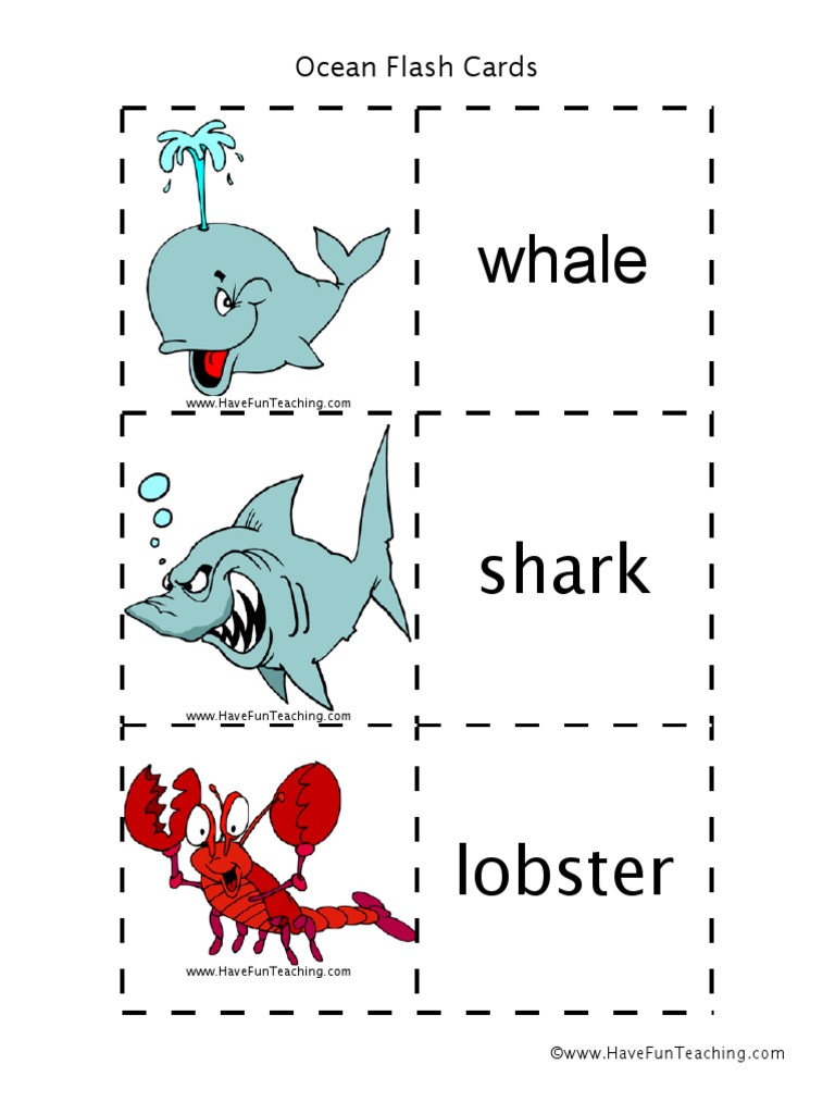 Ocean Flash Cards | PDF | Cooking, Food & Wine