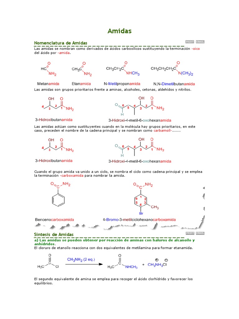 Amidas | Hidrólisis | Amida