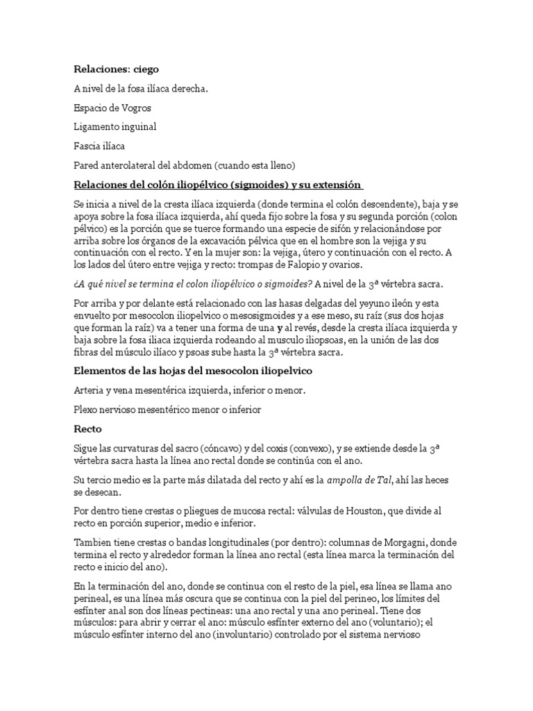 Relaciones Del Recto y Ano ANATOMIA | PDF | Recto | Pelvis