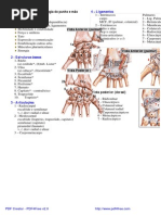 Aula 6 Ossos, Músculos, Inervação e Vascularização Do Punho e Mão | PDF ...