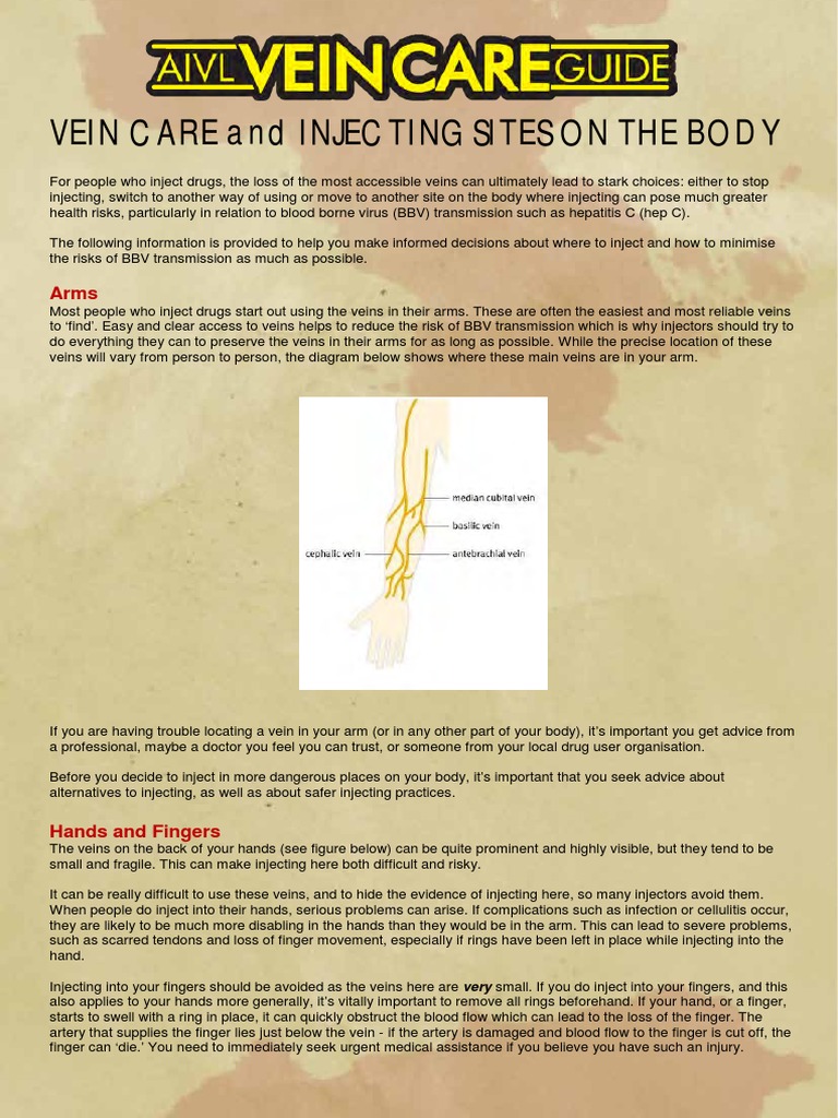 Vein Chart | Download Free PDF | Vein | Artery