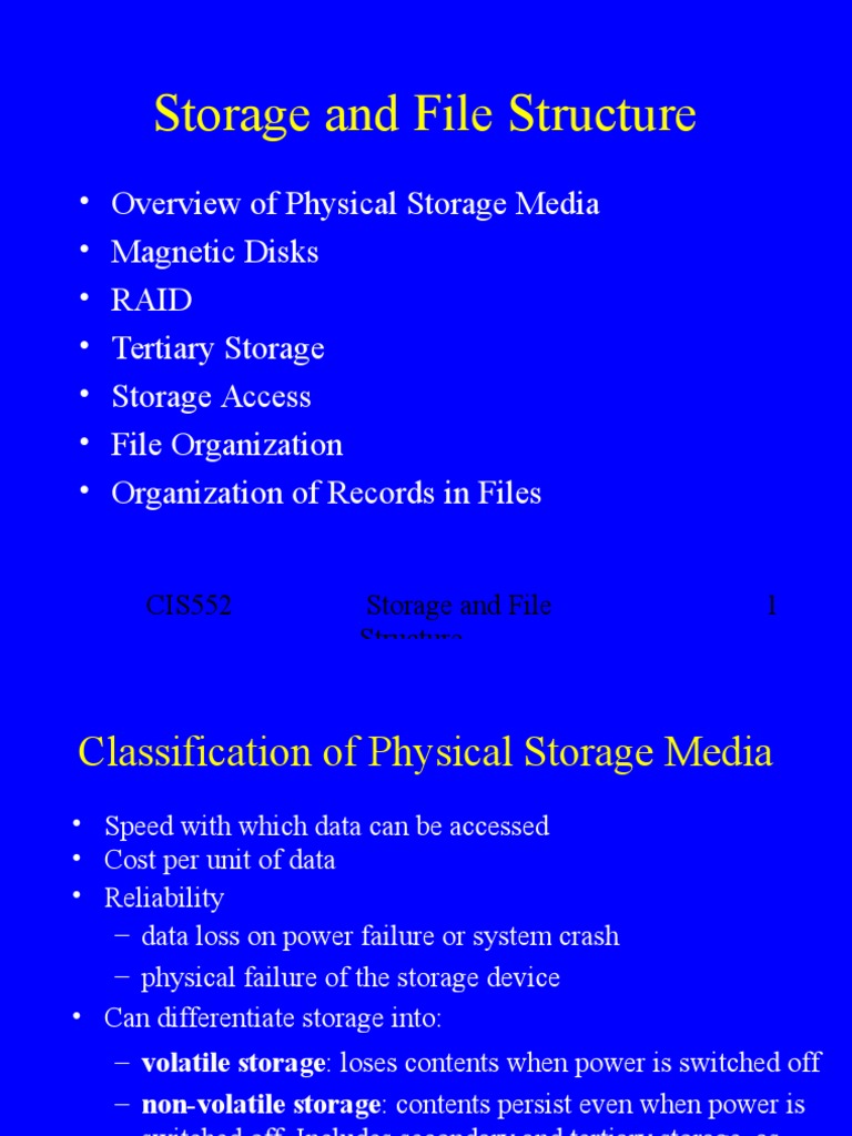 Storage and File Structure | PDF | Computer Data Storage | Disk Storage