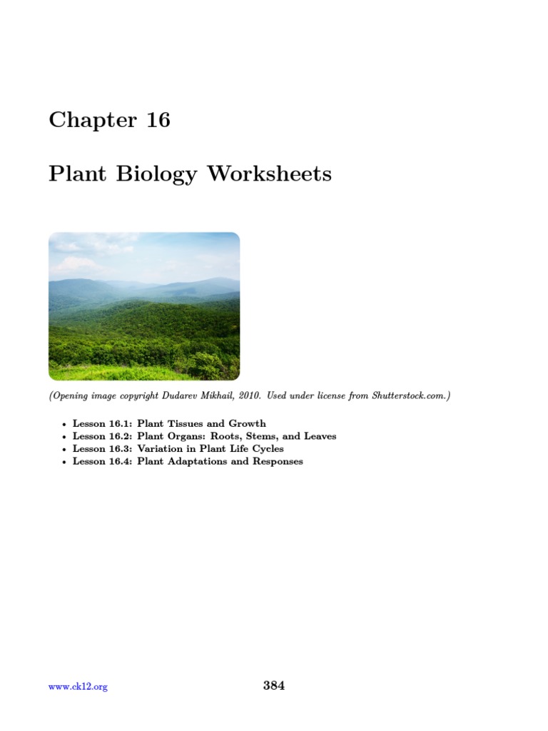 CK-12 Biology Chapter Worksheets | PDF | Leaf | Tissue (Biology)