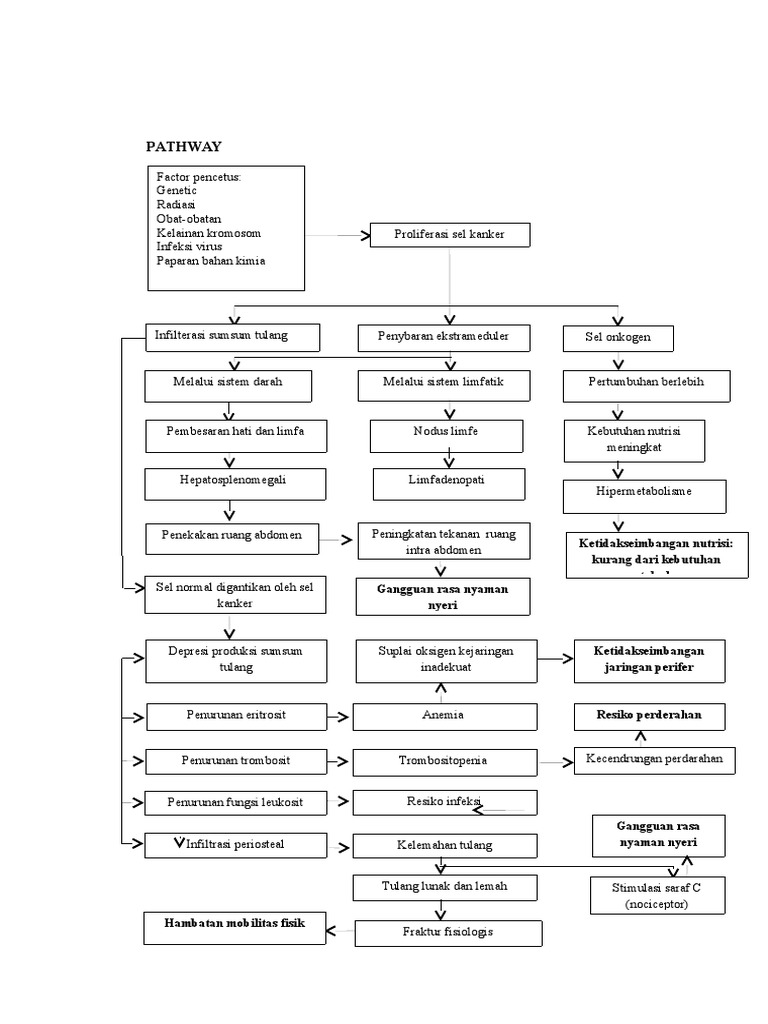 Pathway Aml | PDF