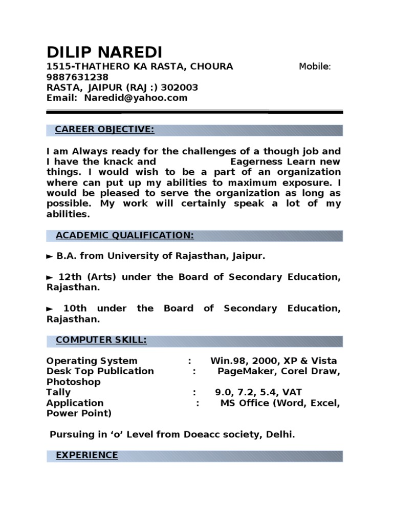 Resume of Dilip Naredi - Accountant | PDF | Business | Computers