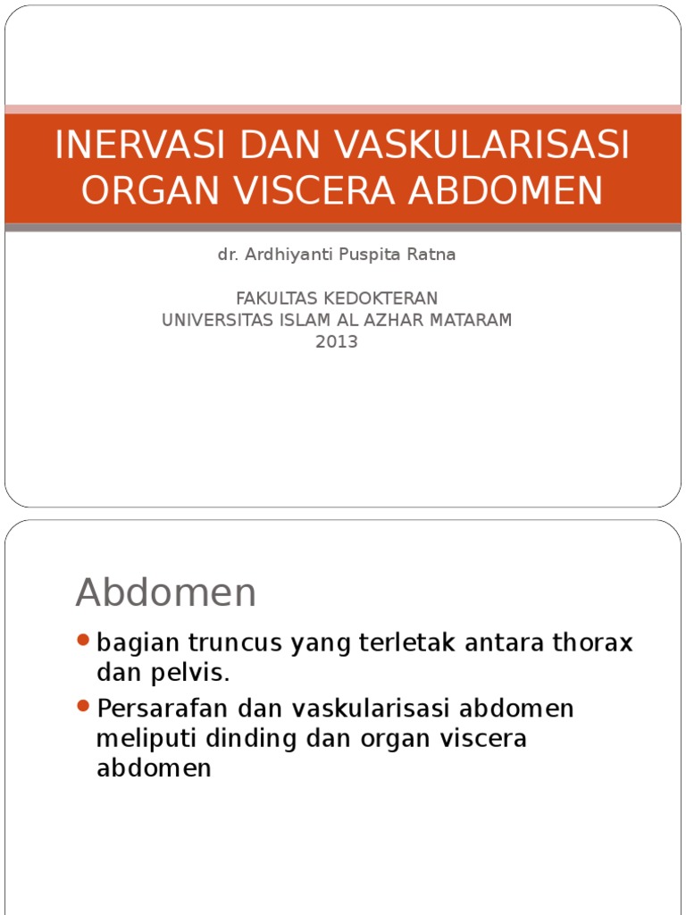 Inervasi Dan Vaskularisasi Organ Viscera Abdomen | PDF