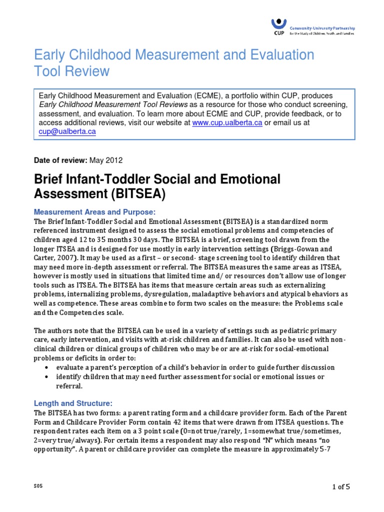 Final Bitsea Jun 2012 3 | PDF | Validity (Statistics) | Mental Health