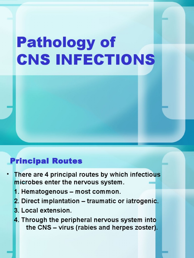 Pathology of Cns Infections | Download Free PDF | Meningitis ...