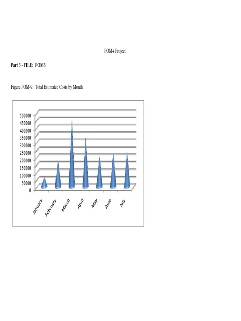POM+ Project Cost Analysis | PDF
