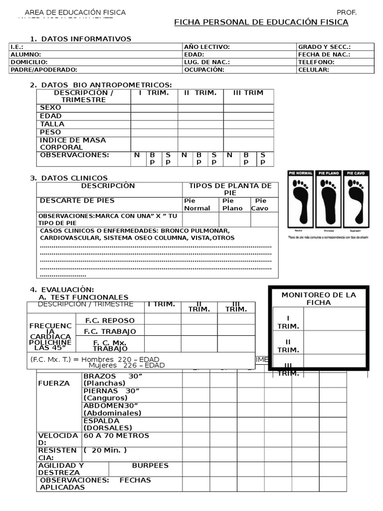 Ficha personal de educación física con datos antropométricos y evaluación física | PDF
