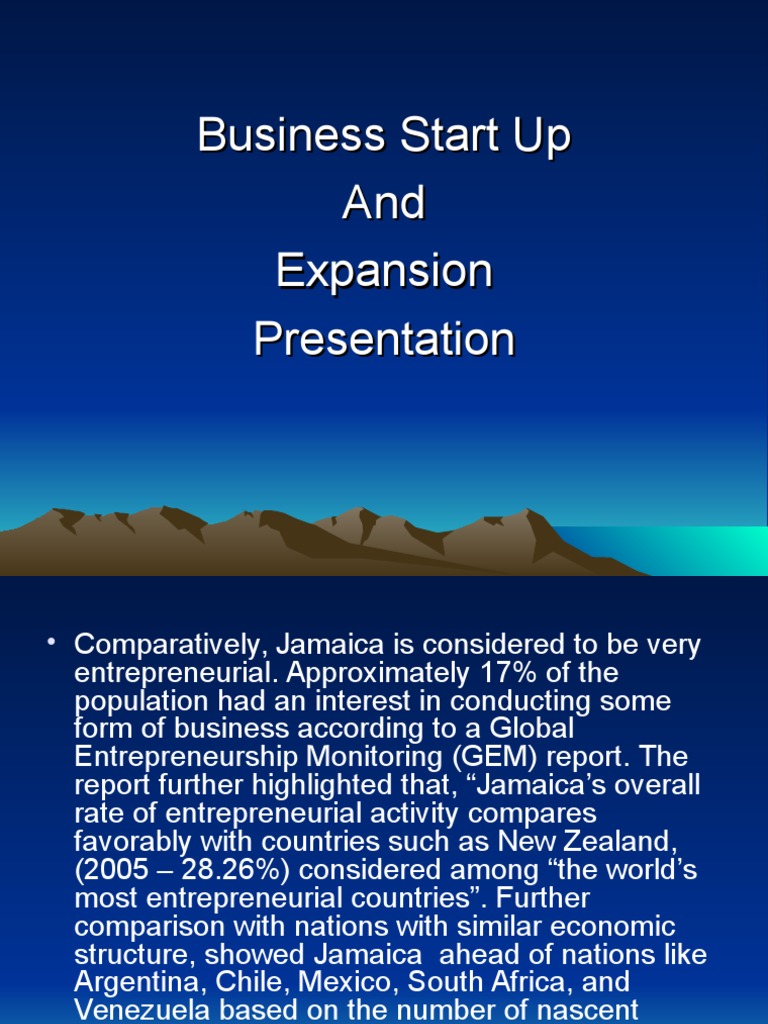 Business Presentation | PDF