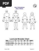 Lund and Browder Chart: Burn Calculations Rule of Nines | PDF