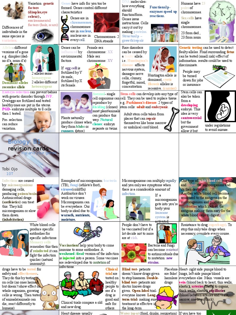 GCSE Biology Revision Cards (1-3) | PDF | Infection | Gene