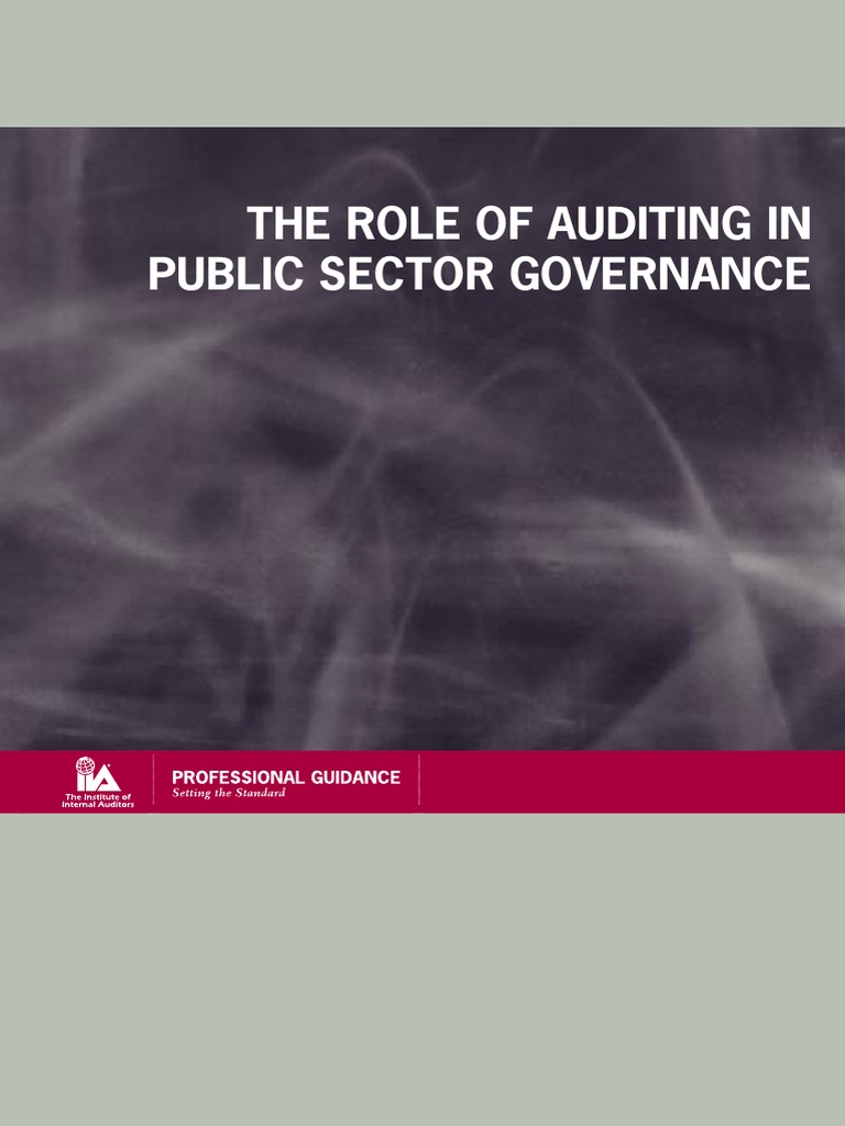 Enhancing Governance Through Public Sector Auditing | PDF | Internal ...