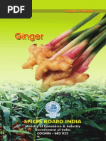Ginger & Turmeric Production in Zimbabwe | PDF | Ginger | Soil