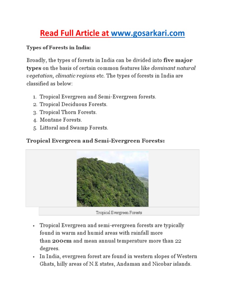 Major Forest Types in India Explained | PDF | Forests | Tropics